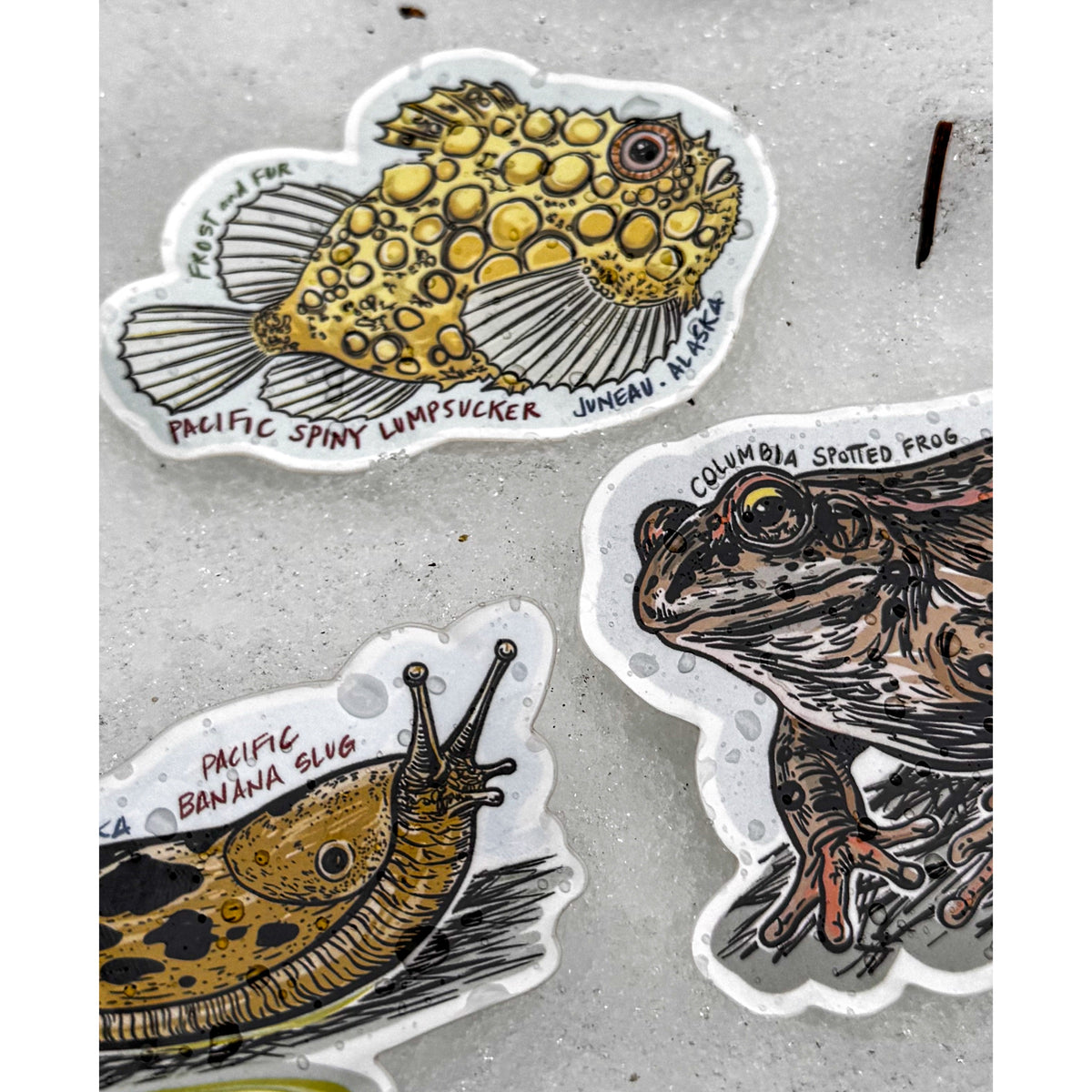 Creature Stickers – Frost and Fur