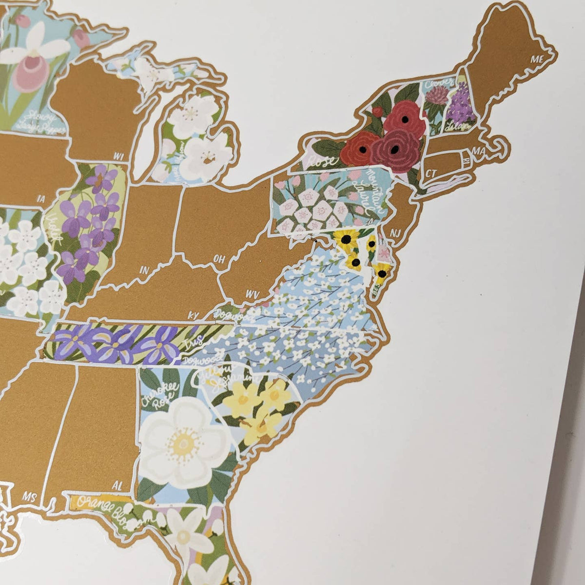 Scratch Your Travel Map - State Flowers 10x8 – Frost and Fur